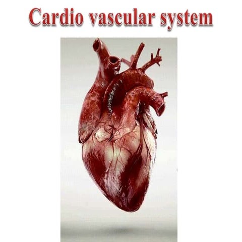 ANATOMY AND PHYSIOLOGY OF THE HEART | PPTX