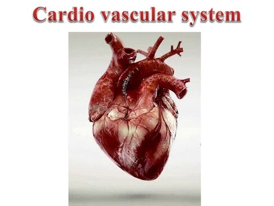 Structure of the Cardiac muscles | PDF | Heart and Cardiovascular ...