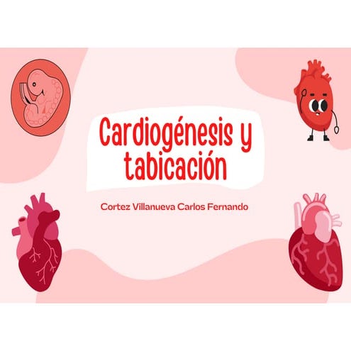 Cardiogénesis y tabicación Embriología | PDF