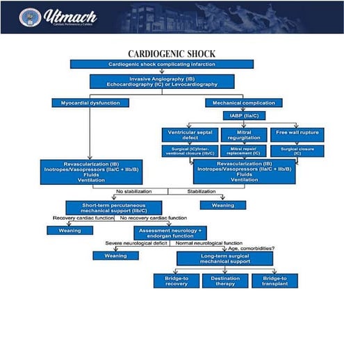 Cardiogenic shock algorithm | PPT