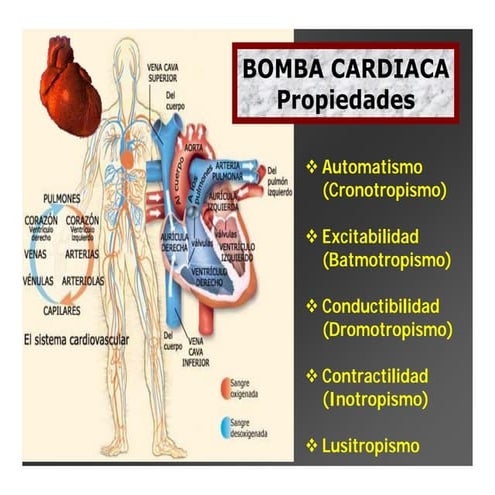 Cardio i 2011 | PDF