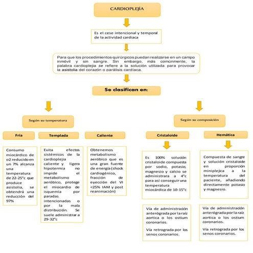 Cardioplejia | DOCX