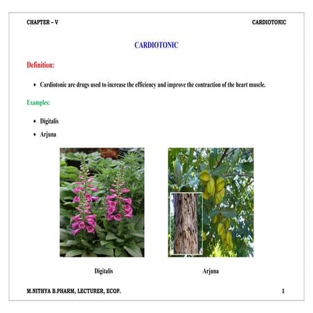 Pharmacognosy- CARDIOTONIC | PDF