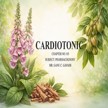 Motivational Templates for Interactives | PPTX