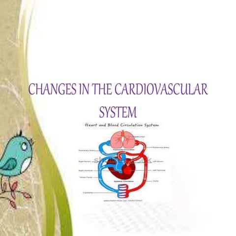 changes in cardiovascular system during pregnancy | PPTX