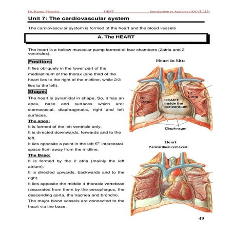 Cardiovascular | PDF