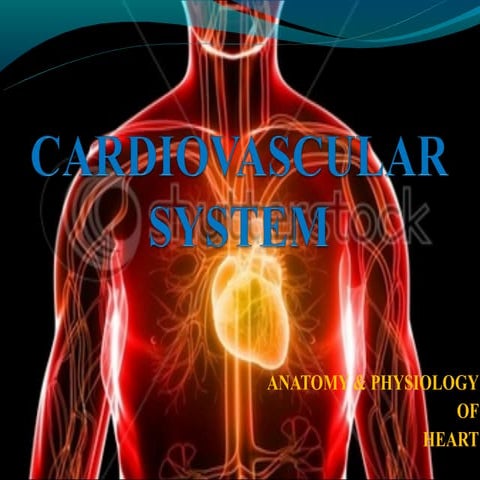 Cardiovascular | PPT | Heart and Cardiovascular Diseases | Diseases and ...