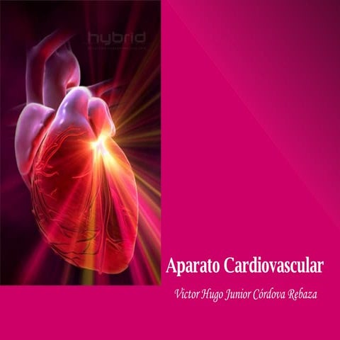 Cardiovascular | PPT
