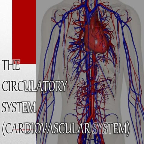 Introduction to the circulatory system | PPTX
