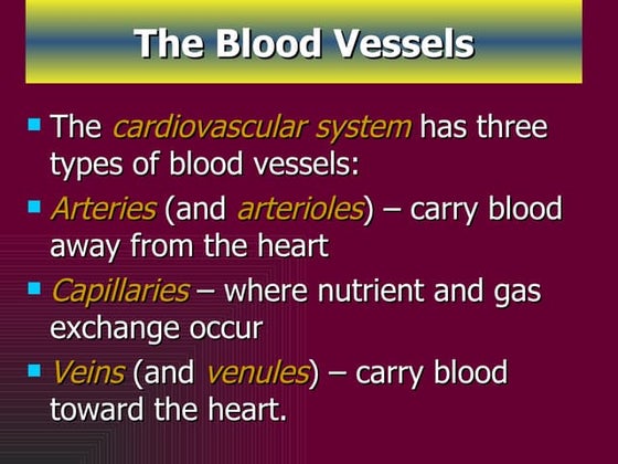 Blood vessels | PPT