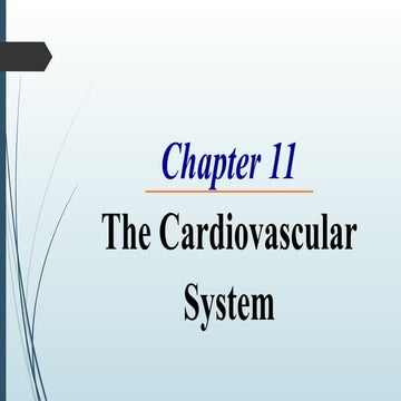 CARDIOVASCULAR-SYSTEM.ppt tttttttttt5555544 | PPT