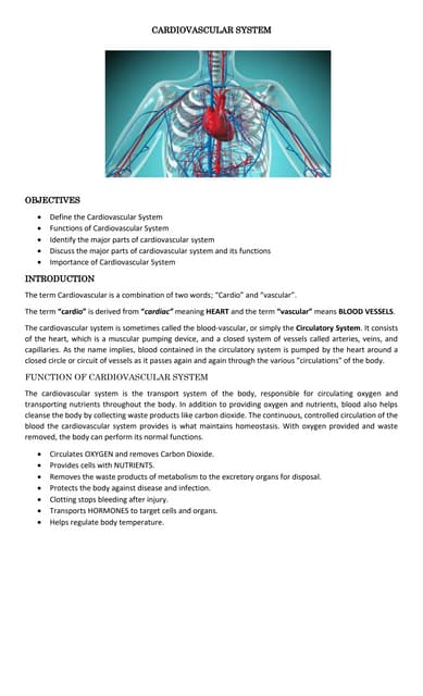 Parts Of The Cardiovascular System