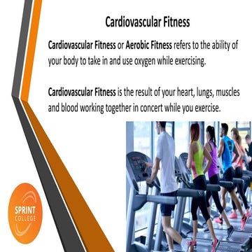 Cardiovascular exercise | PPT