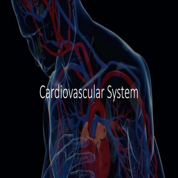 Cardiovascular System Powerpoint-Anatomy | PPT