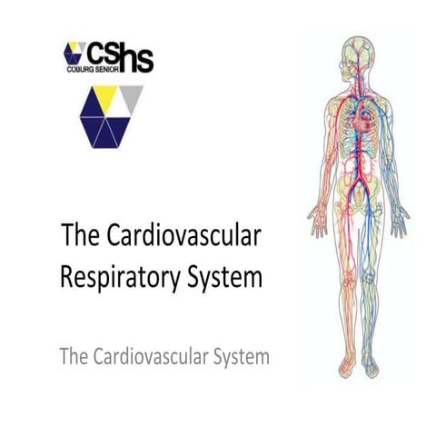 Cardiovascular and Respiratory System | PPT