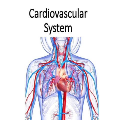 9 Muscle-Strength-and-Muscle-Action(1).pptx