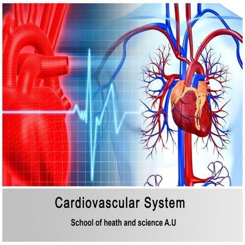 Development of Heart (Embryology) | PPTX