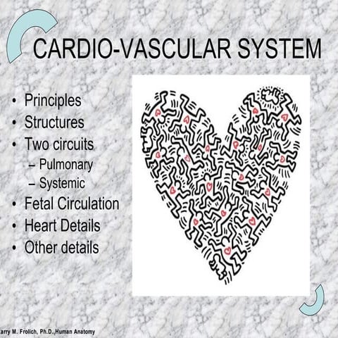 Cardiovascular system | PPT