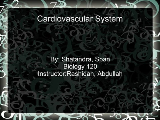 The cardiovascular system – 3 procedures | PPT
