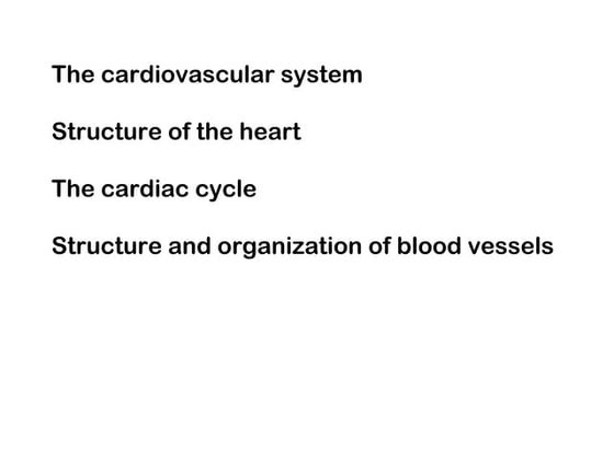 THE HEART PPT | PPTX | Heart and Cardiovascular Diseases | Diseases and ...