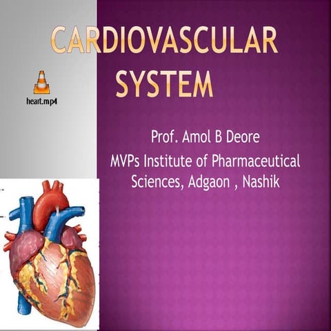 Circulatory System Ppt