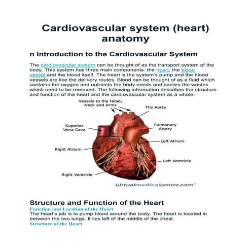Cardiovascular system | PDF | Heart and Cardiovascular Diseases ...
