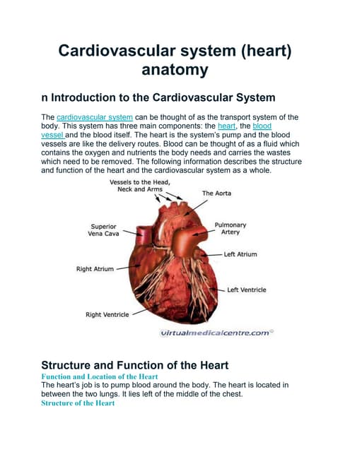 The structure and Function of the Heart | PPTX