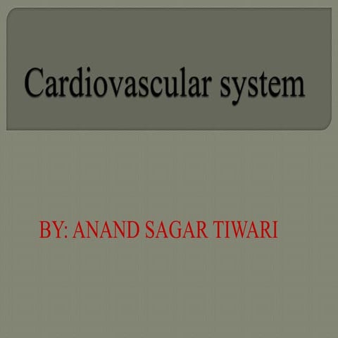Functional observation battery tests | DOCX
