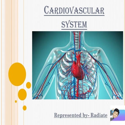 Cardiovascular System | PPT