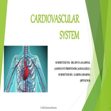 CARDIOVASCULAR SYSTEM.pptx
