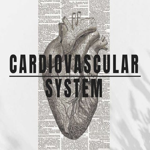 PowerPoint presentation on cardio-vascular system | PPTX