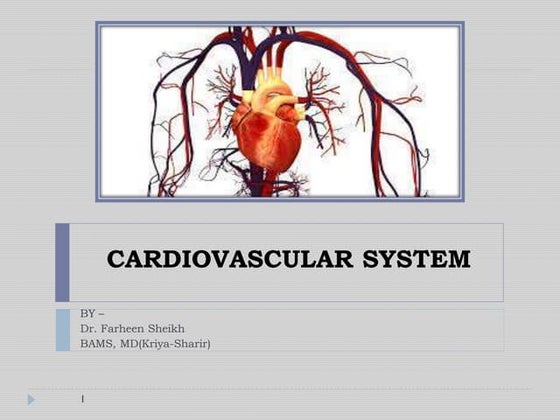 Cardiovascular system.pptx
