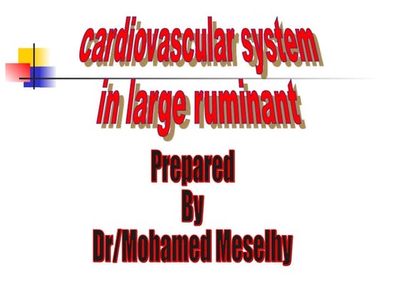 Special Examination Of Cardiovascular System Pptx