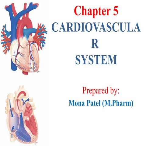 Cardiovascular system- Human Anatomy and Physiology | PPTX