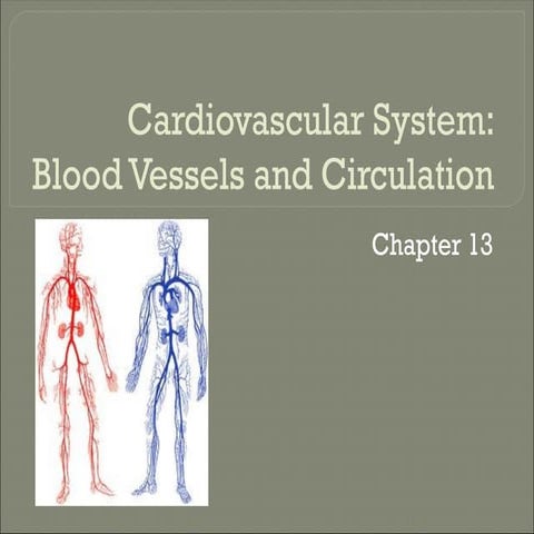 Cardiovascular (physiology of heart) System-blood vessels.ppt