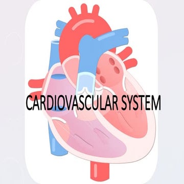 Cardiovascular System_093336_111753.pptx