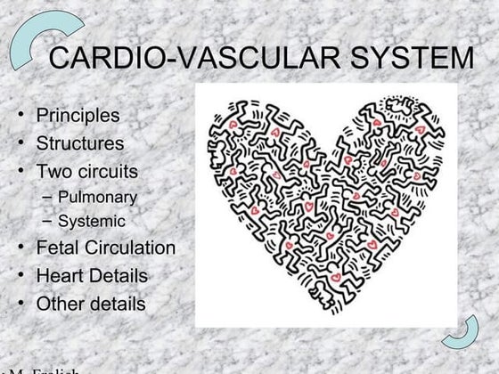 Anatomy of the Cardiovascular system | PPTX