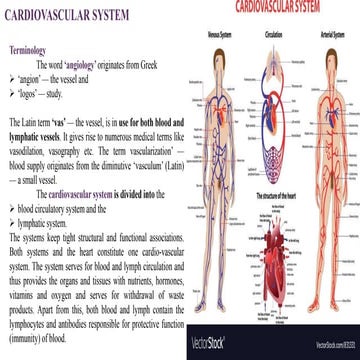 Cardiovascular blood vessels(1).ppt fr nursing student | PPT