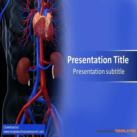 Cardiovascular system | PPT | Desktop Publishing | Computer Software ...