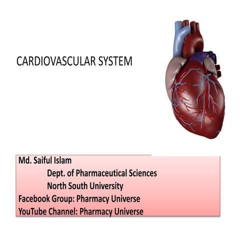 Cardiovascular system (blood pressure, hypertension) | PPTX