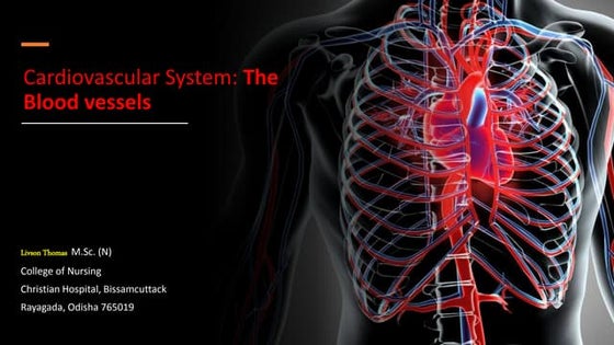 ANATOMY OF BLOOD VESSELS | PPT