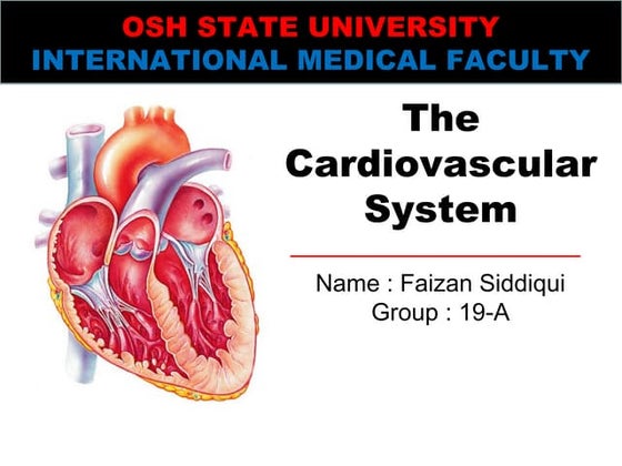 Anatomy of the Cardiovascular system | PPTX