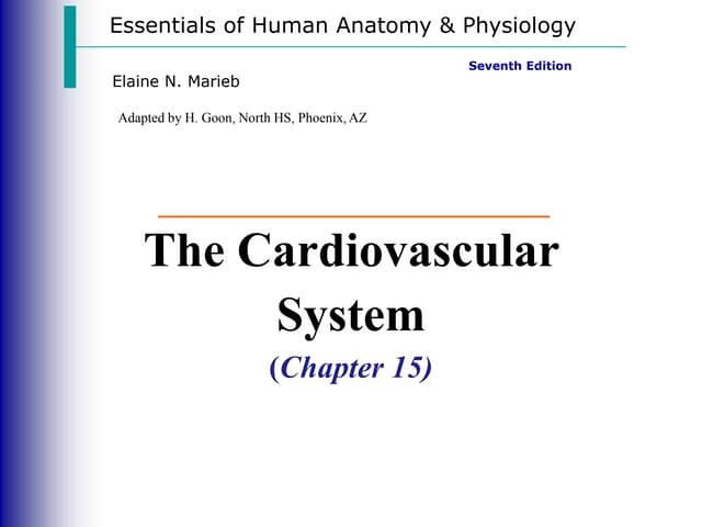 MCQ CVS Physiology | PDF
