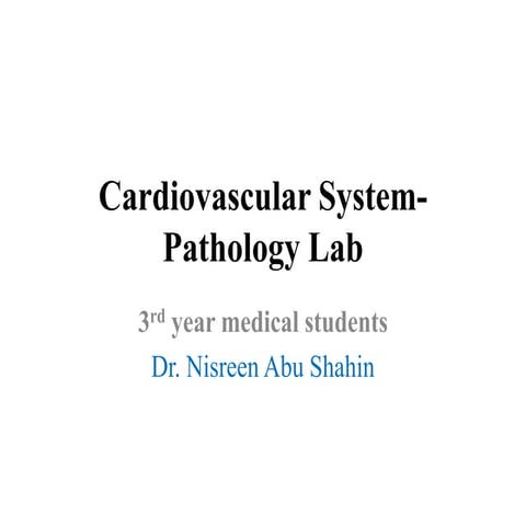 Cardiovascular system pathology lab | PDF