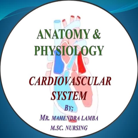 Cardiovascular system ppt | PPTX
