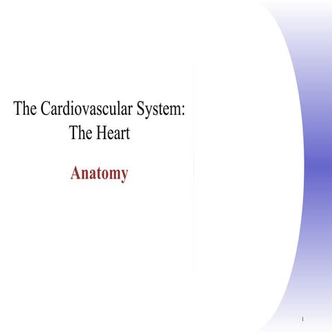 Heart anatomy | PPT
