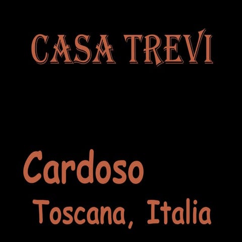 Cardoso For Viss Nov09 | PPT