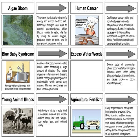 Cards_for_Nitrogen_Cycle2,for_Nitrogen_Cycle2 | PPT