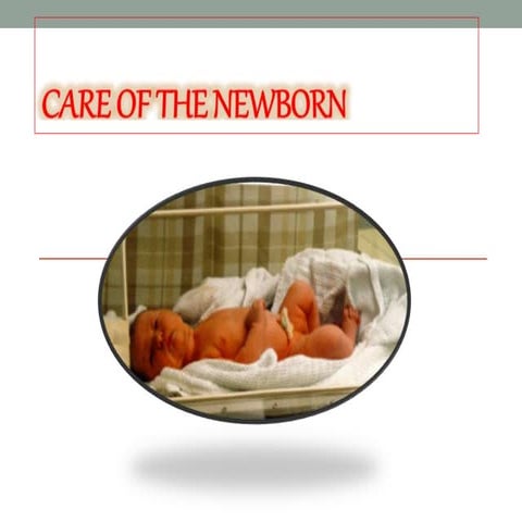 Nursing of a family care-of-the-newborn.ppt