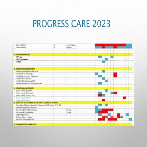 Care progress and action plan for 2023-2023.ppt